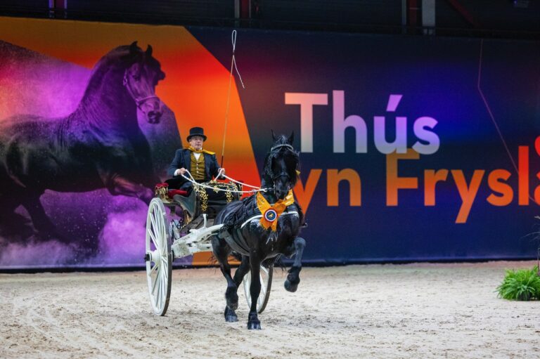 De Friese Avond: Een ode aan cultuur, traditie en majestueuze (Friese ...